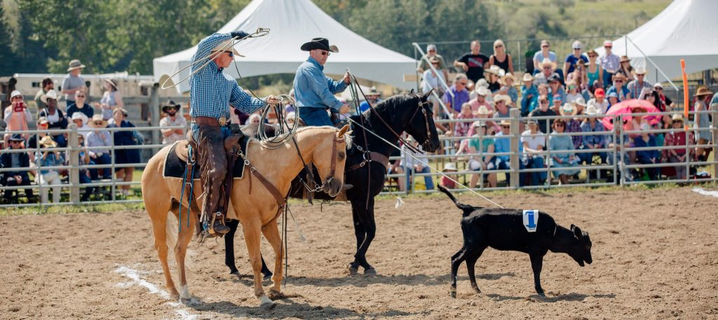 Visit – friendsofthebaru.com